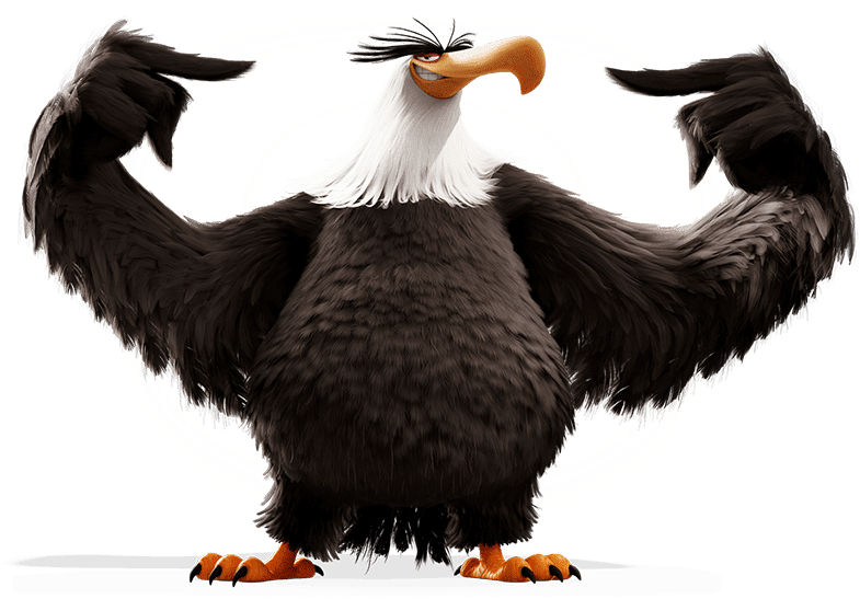 ตัวละครของ แองกรี้เบิร์ด angry birds ทุกตัว