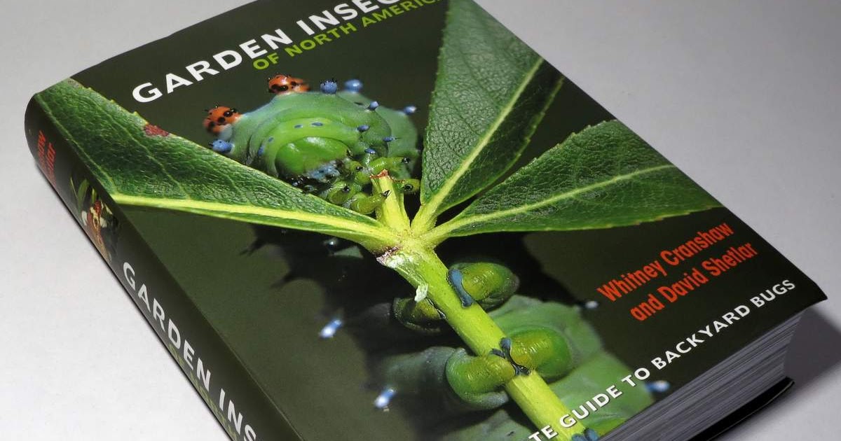 Book Review - Gardening Insects of North America (Second Edition ...