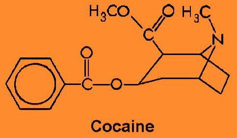 DROGAS Y ADICCIONES: HISTORIA DE LA COCAINA