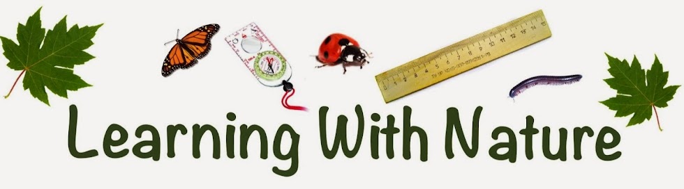Learning With Nature