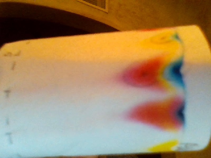 Becca AP Chem: Chromatography Lab