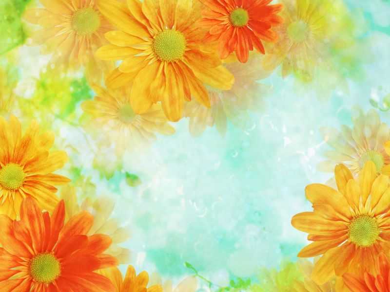 fondos de flores,flowers,wallpapers