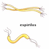 oscarblogger: Naturales