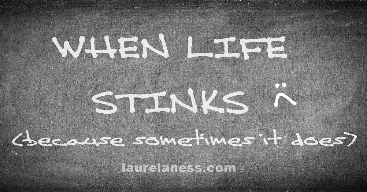 Laurel A. Ness: When Life Stinks: Because Sometimes It Does