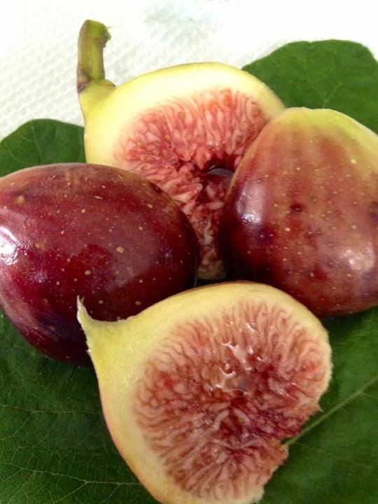 Figs Photo Collection Around the World: Figs : CALDERONA
