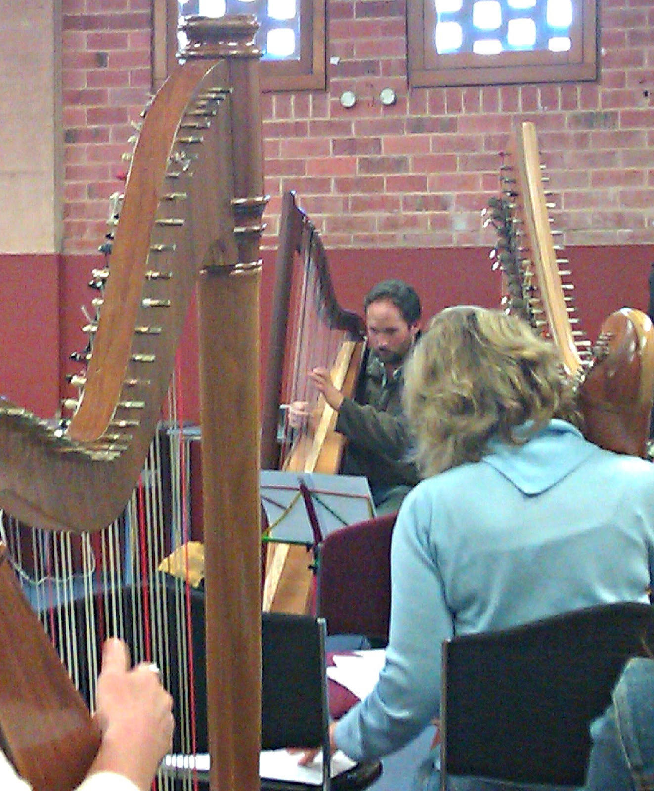 243 Strings: A Wrap up of the 5th Australian Harp Festival- Part 1