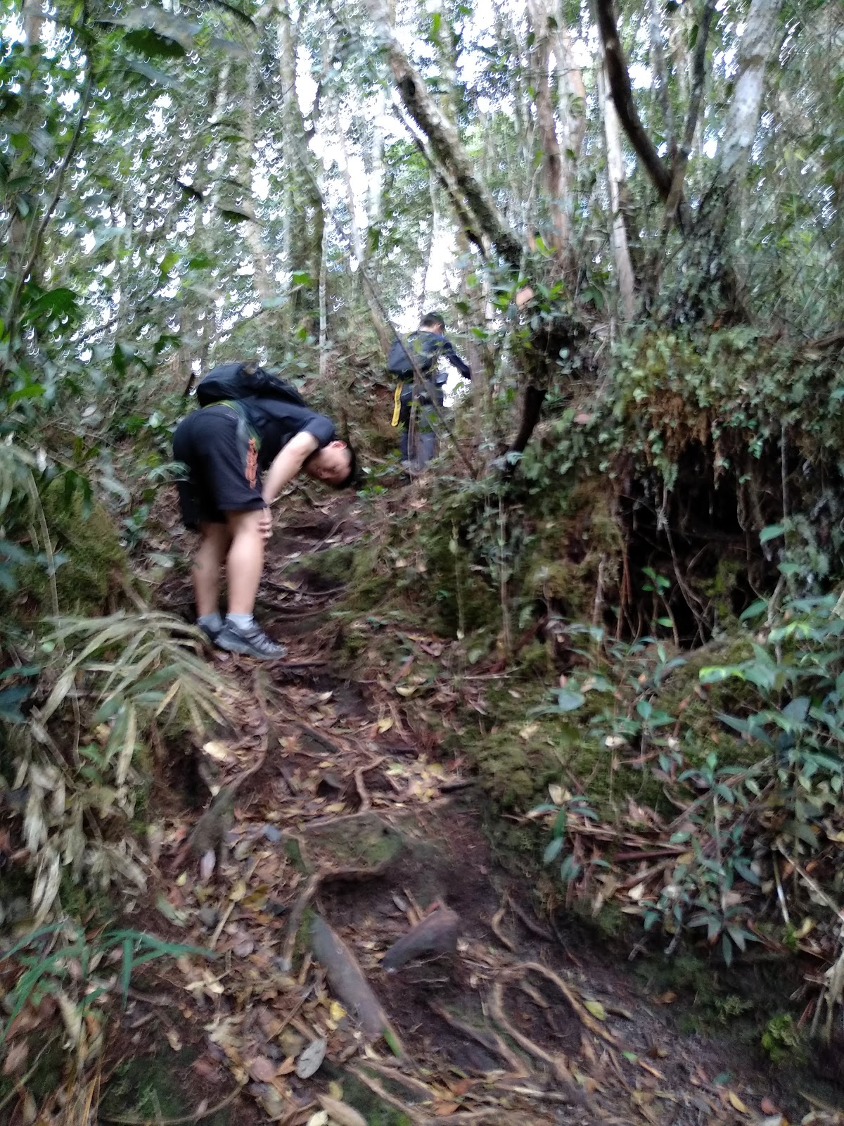 Live, where your heart finds life ツ: Gunung Rajah via Chamang/Bentong ...