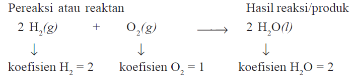 Berikan contoh menulis persamaan reaksi? | Fisika Kimia