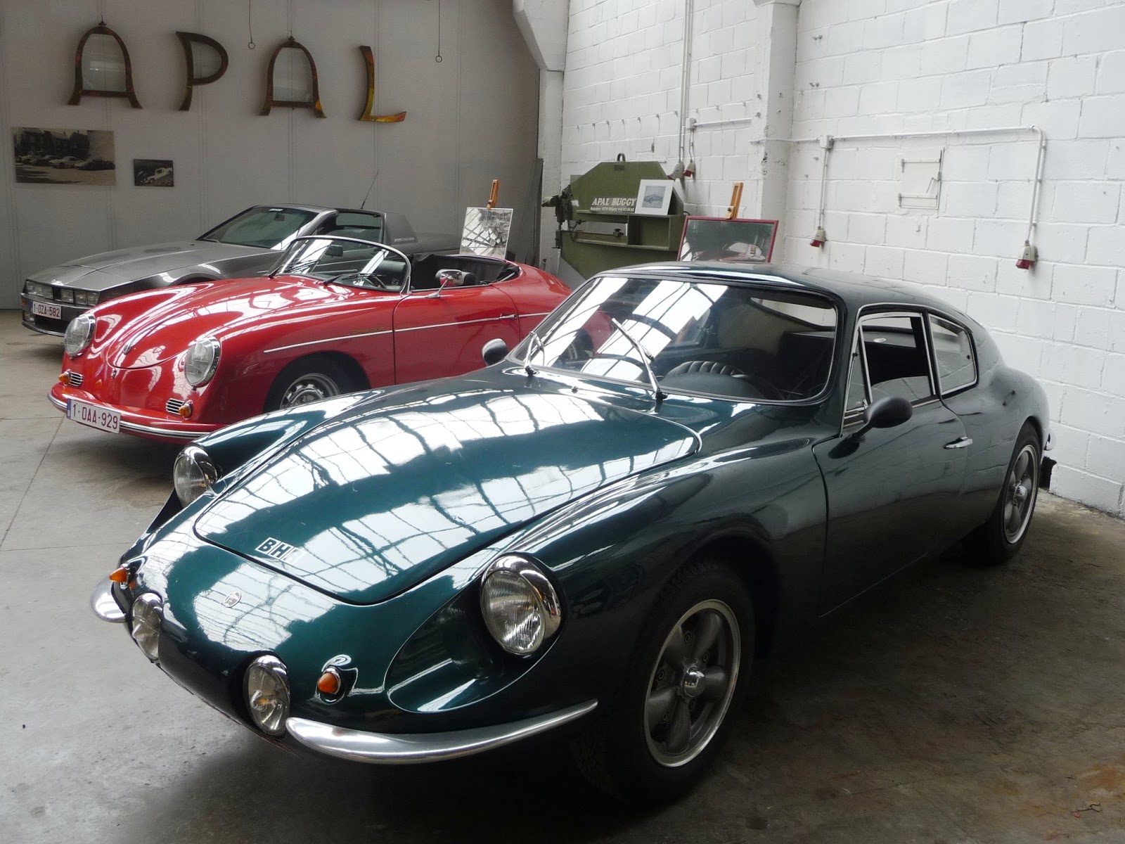 Apal - JungleKey.be Afbeelding #50