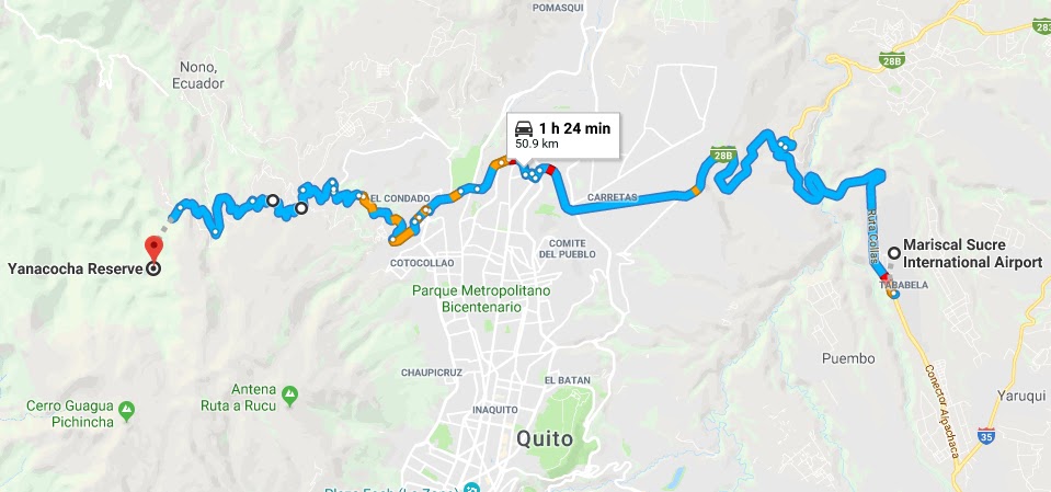 The Speckled Hatchback: Post #128 - Birding Quito's Reserva Yanacocha