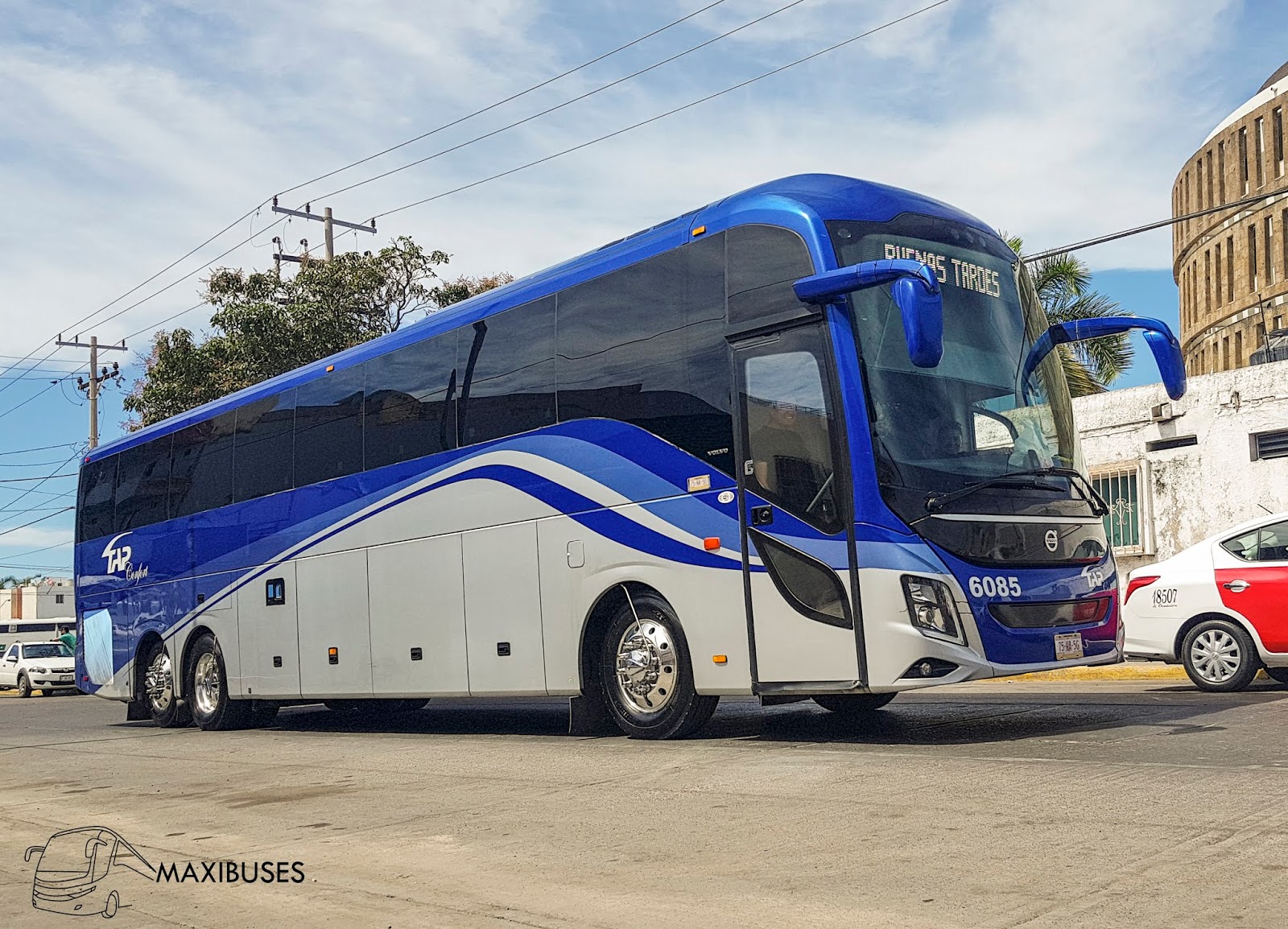MAXIBUSES: TRANSPORTES Y AUTOBUSES DEL PACÍFICO, CONFORT (TAP CONFORT)