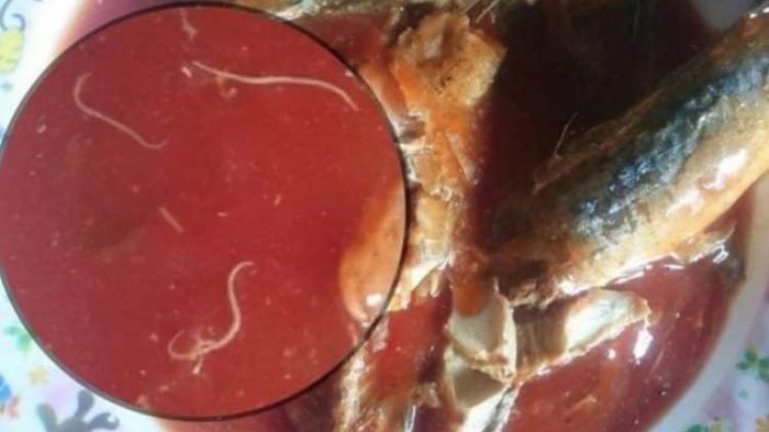 SWAP Medical Hoax: Cari tahu tentang cacing dalam sarden yuk!