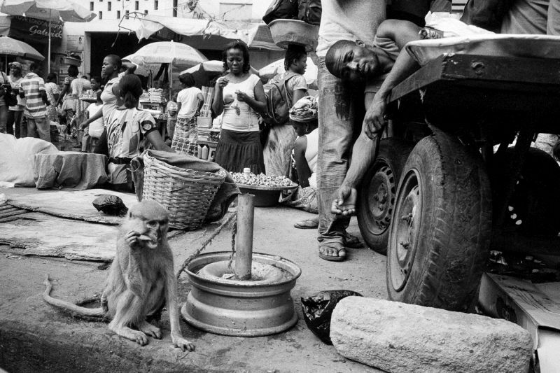 El Hurgador [Arte en la Red]: Daniel Sperl [Fotografía / Photography]