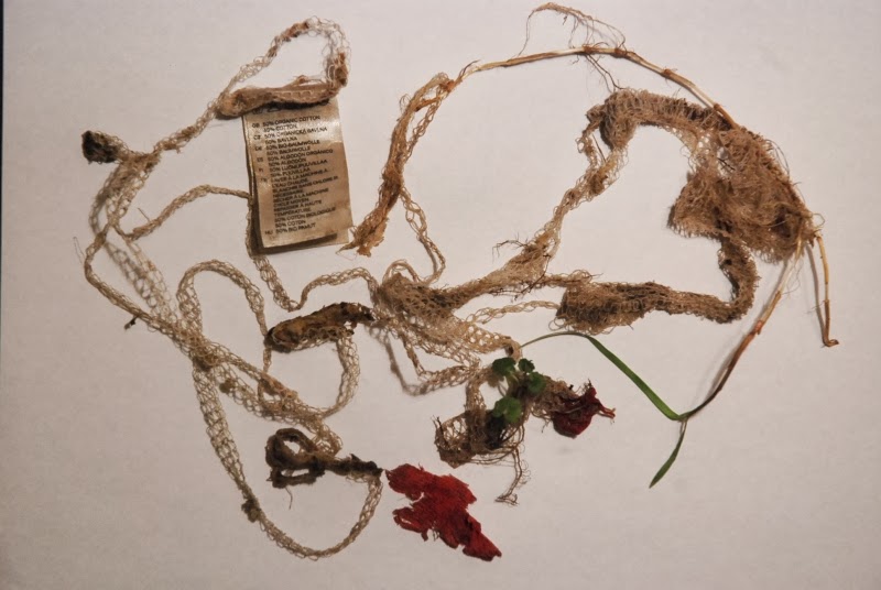 DIGGING UP A CORPSE 50 YEARS AFTER BURIAL : r/funeralparadise