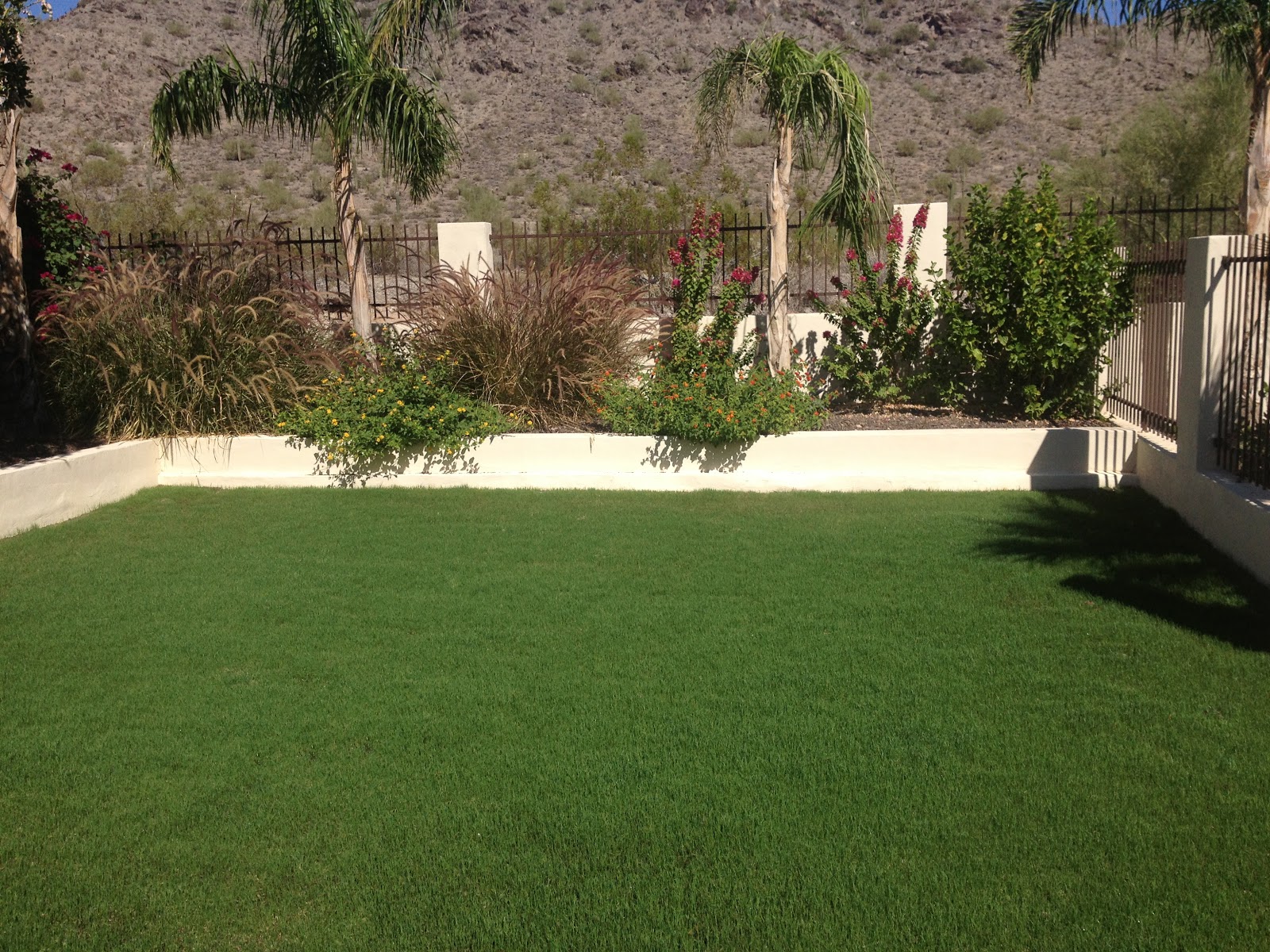 ProQual Landscaping: Overseeding my backyard with winter rye seed