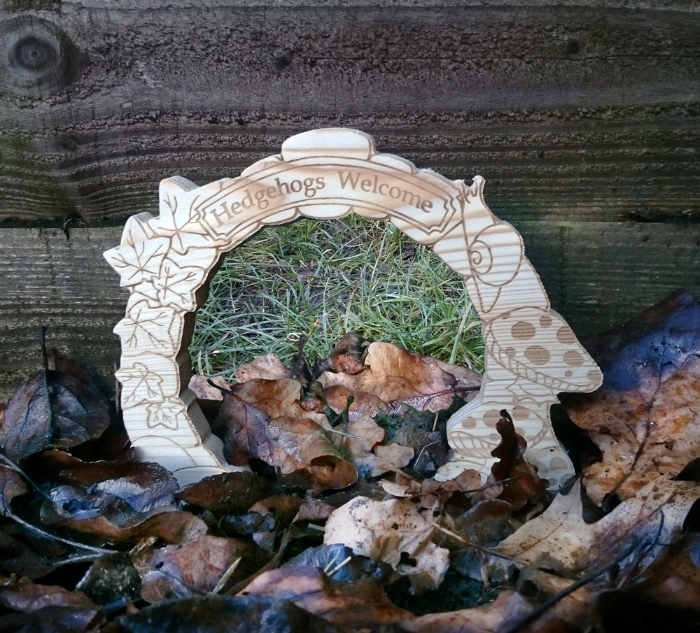 Hedgehog Doors: About