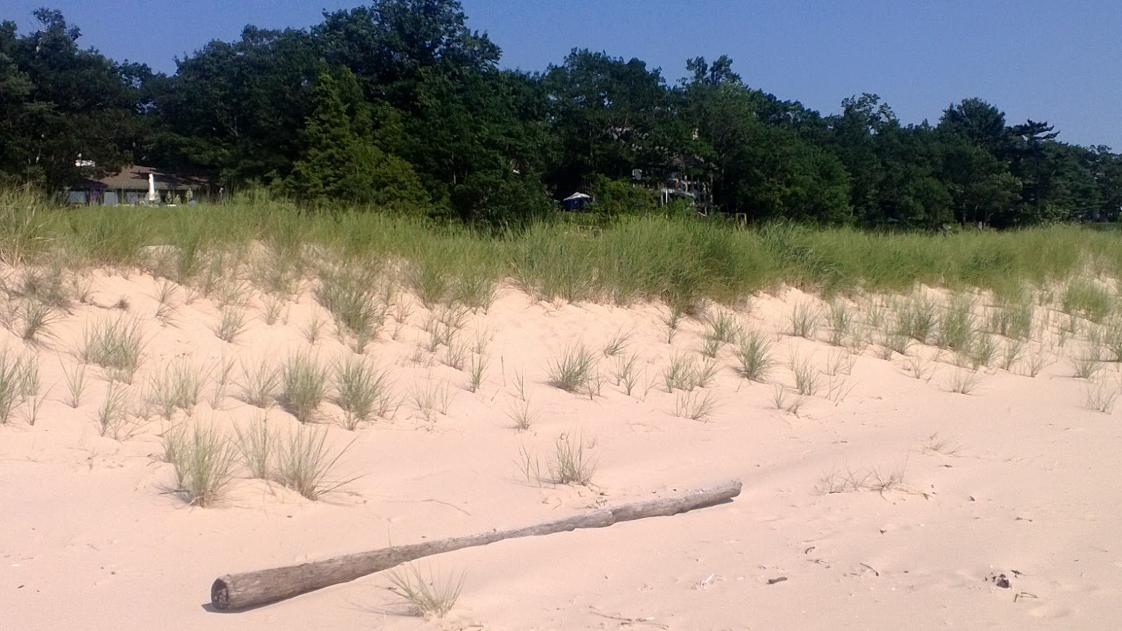 Lake Michigan (Near Stony Lake)