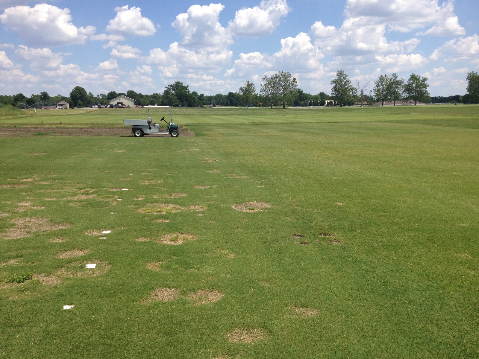 Smart Turf: Midwest Regional Turf Foundation - Purdue University Daniel ...