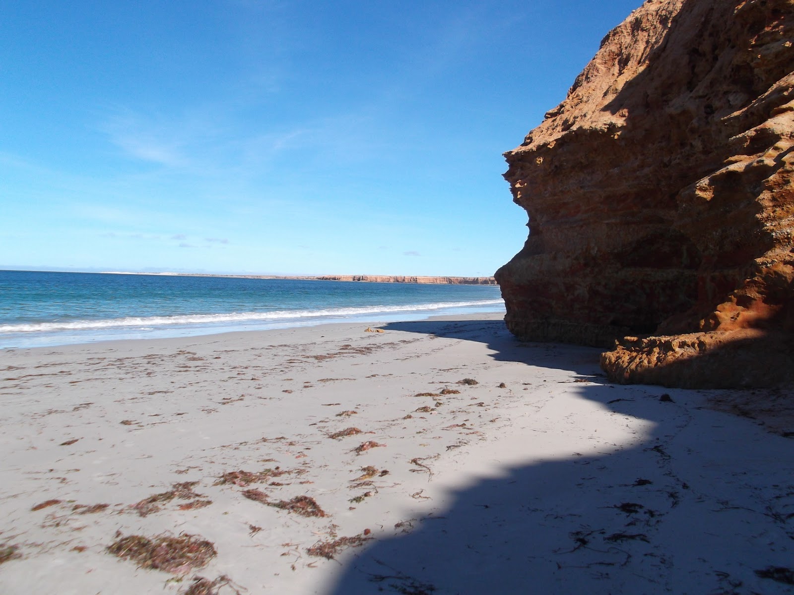 gohavealook: WE CONTINUE ALONG THE EYRE PENINSULA