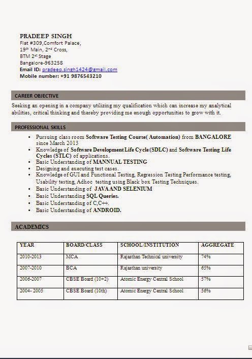 example of cv template
