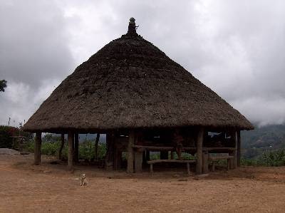 East Timor Law and Justice Bulletin: TIMOR-LESTE: Regulating land ...