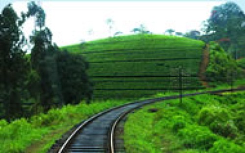 My Sri Lanka: Badulla