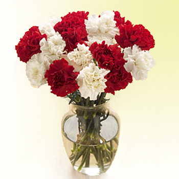 FlorilaCluj.ro: Florile lui Zeus!!