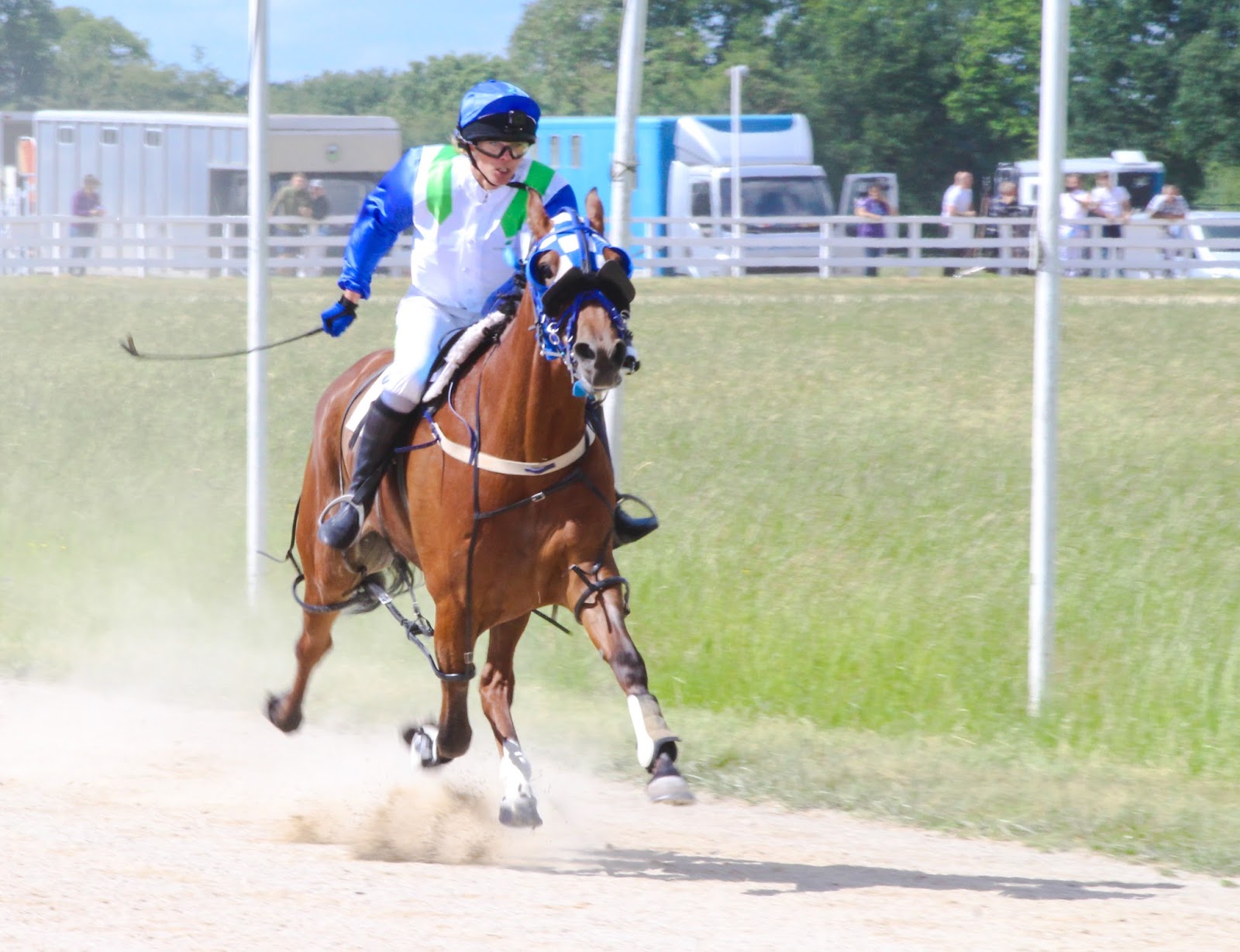 Harness Racing in the UK: Take a bow Alexis Laidler!