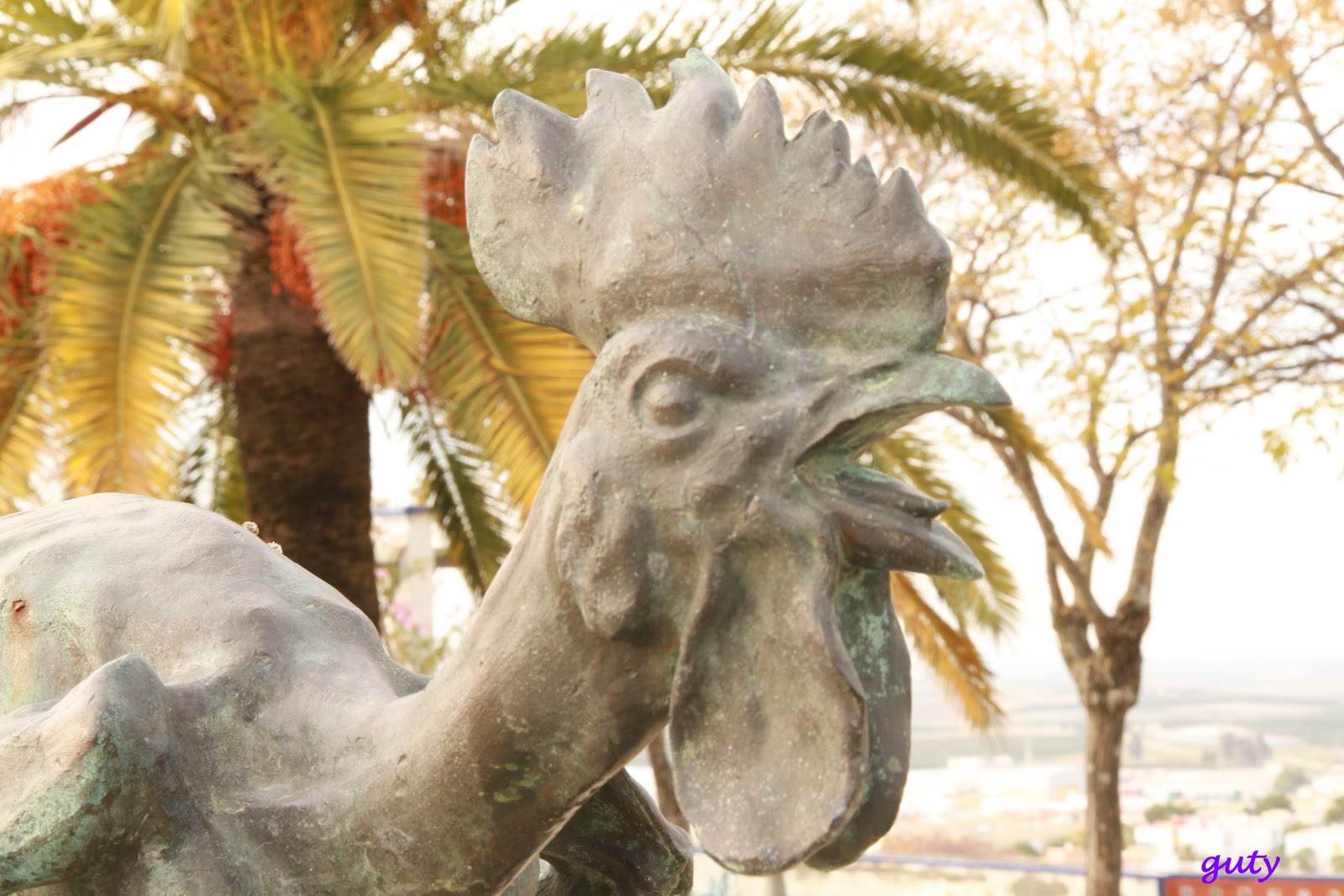 Fotografias: El Gallo y el Caballo de Moron.