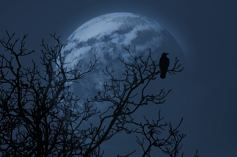 musings from the marsh...: Full Moon In Virgo...March 16, 2014...