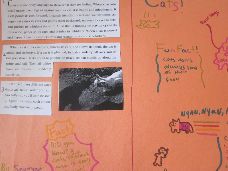 Elementary Connected Classrooms Project: Working with Text