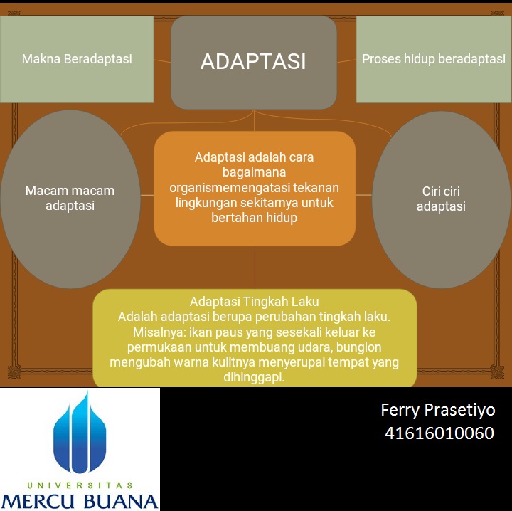 Karakter123.com: Beradaptasi