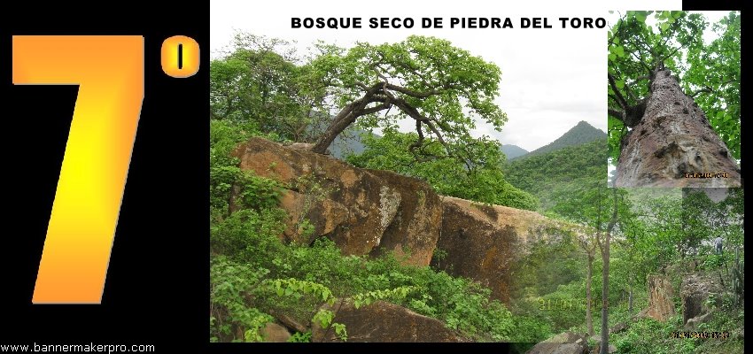 LAS 7 MARAVILLAS DE MORROPON: 6 MARAVILLA: LOMA DE LOS POBRES Y SU ...