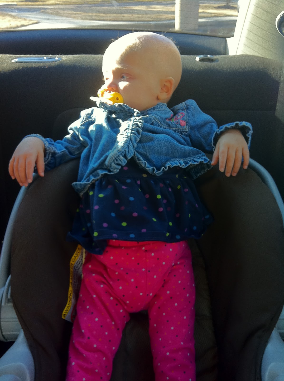 Phoebe Rose Rocks: A year in pictures ...