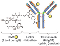 The Arts, Sciences and Medicine: T-DM1 and Breast Cancer
