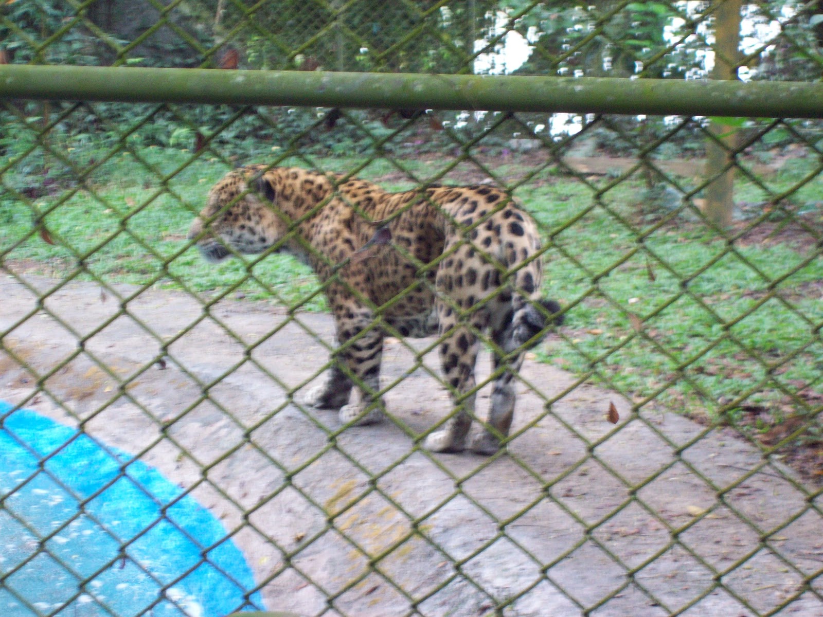 Parque Recreativo y Temático Piscilago ~ Turismo en el huila Agencia de ...