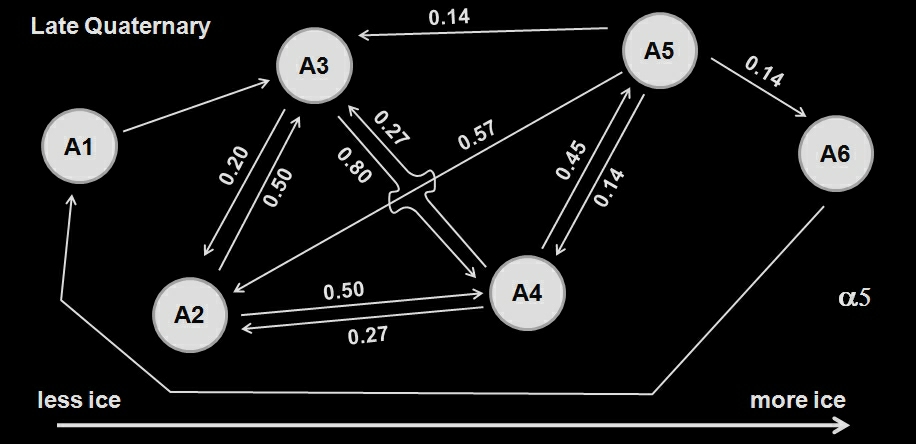 The World Complex: Information theoretic approaches to characterizing ...