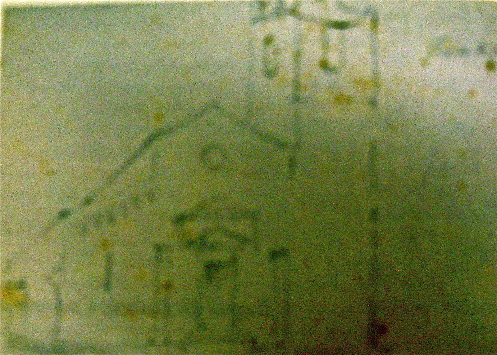 Ricordi: RESTAURO DELLA CHIESA DI PIEVE DI CONTRONE del Prof. Arch ...