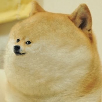 Top 10 - imagenes que me han gustado de doge - Charmonio
