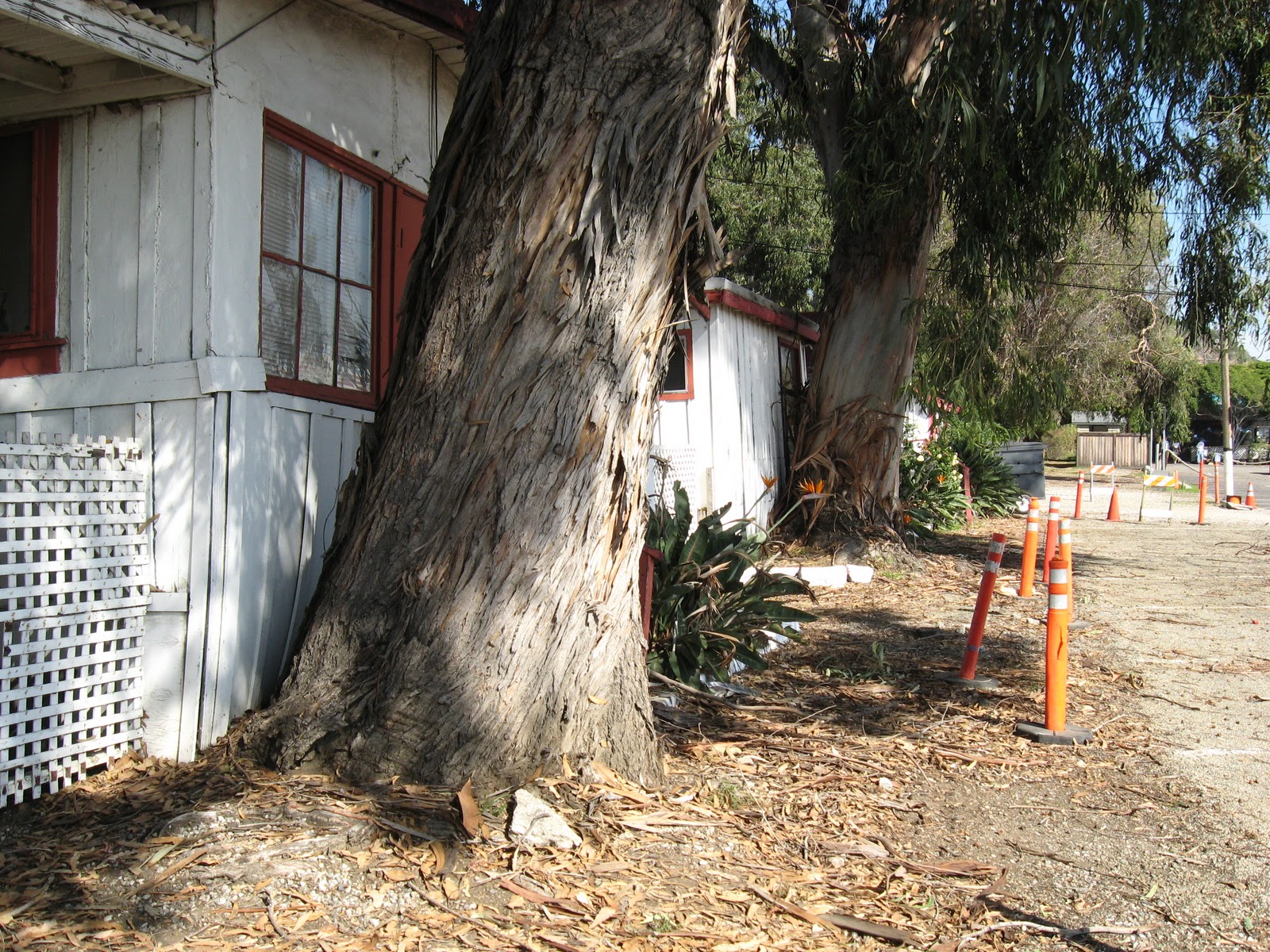 Topanga Daily Photo: Topanga Ranch Motel 3