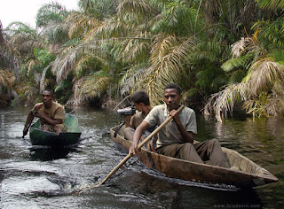 Rosa Rubicondior: Pygmy Puzzle for Creationists