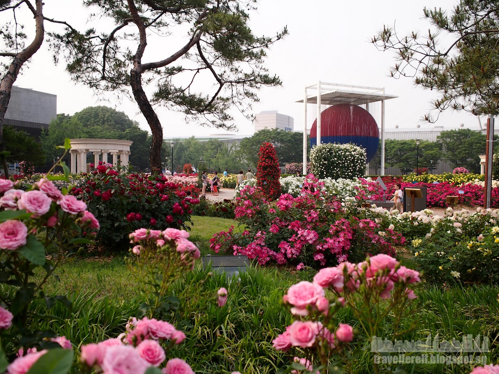 Nature Trails ~ Rose Plaza at Olympic Park, Seoul - Travellerelf