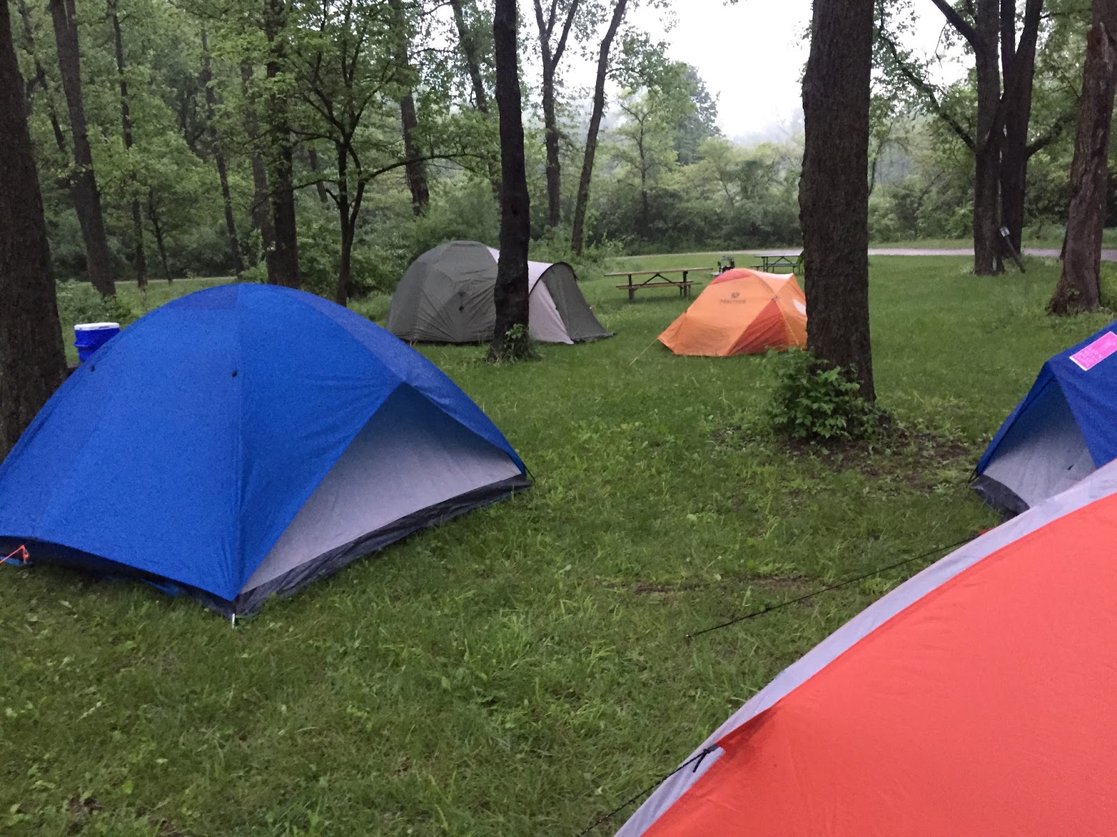 Kickapoo State Recreation Area, IL