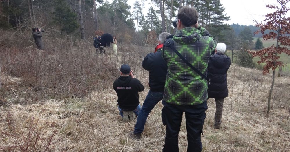 SR Fotografie: Workshop Pferdefotografie von TomsPic am 12.03.2016