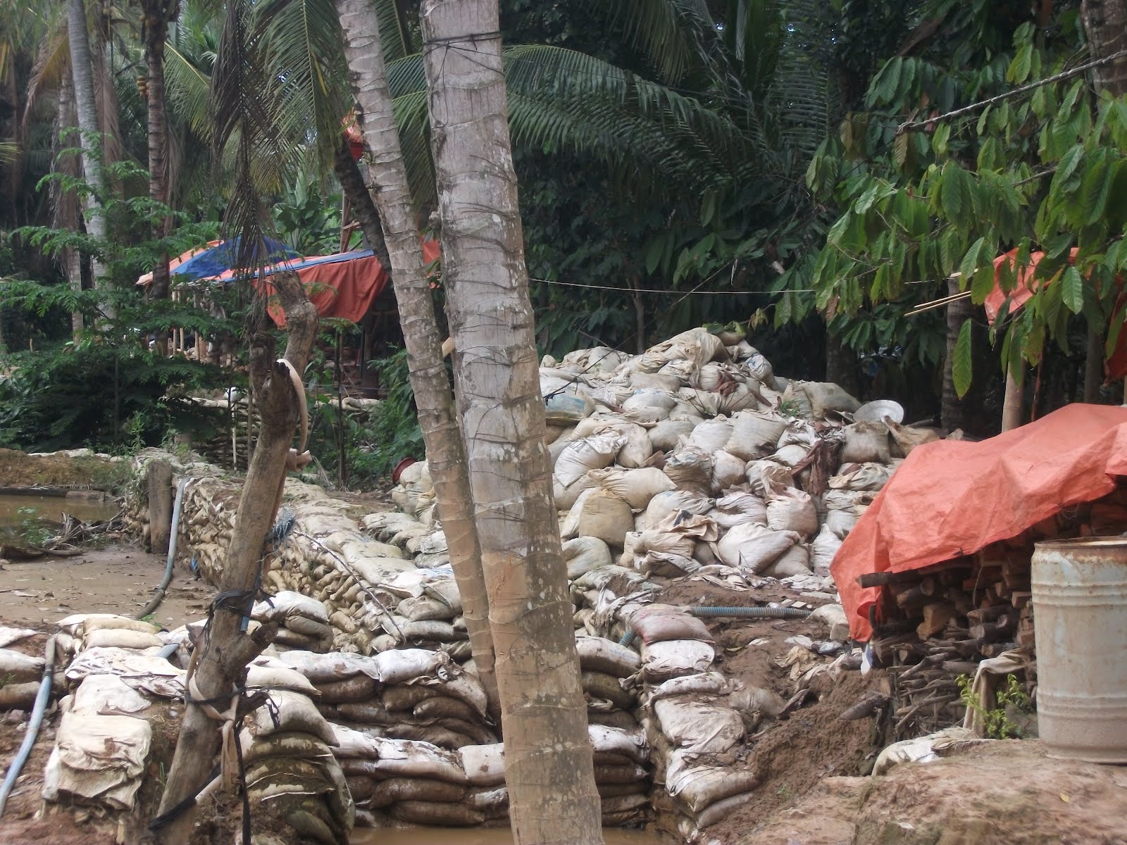 Pengolahan Dan Pengelolaan Tailing Di Kecamatan Padang Cermin World Environmental Issues pengolahan-dan-pengelolaan-tailing-di-kecamatan-padang-cermin-world-environmental-issues