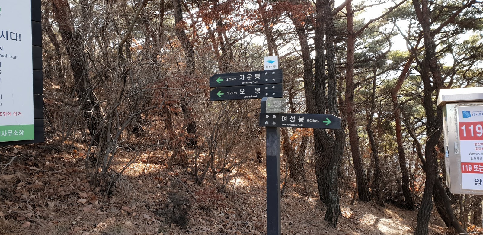 Life is a different Wave moving by Time and ending at Shore: Seasonal ...