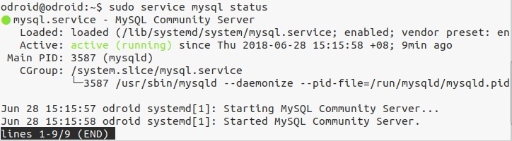 Cool-Emerald: Using MySQL Database with C++ on Various Platforms ...