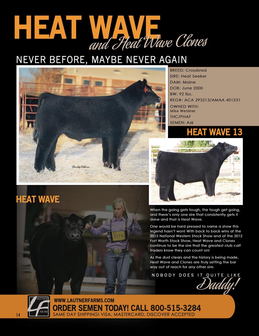 Lautner Farms: Heat Wave and HW Clone Semen Available at Lautner Farms
