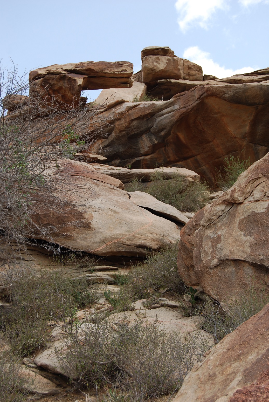 Visiting Somaliland: Laas Geel - The place where camels are watered