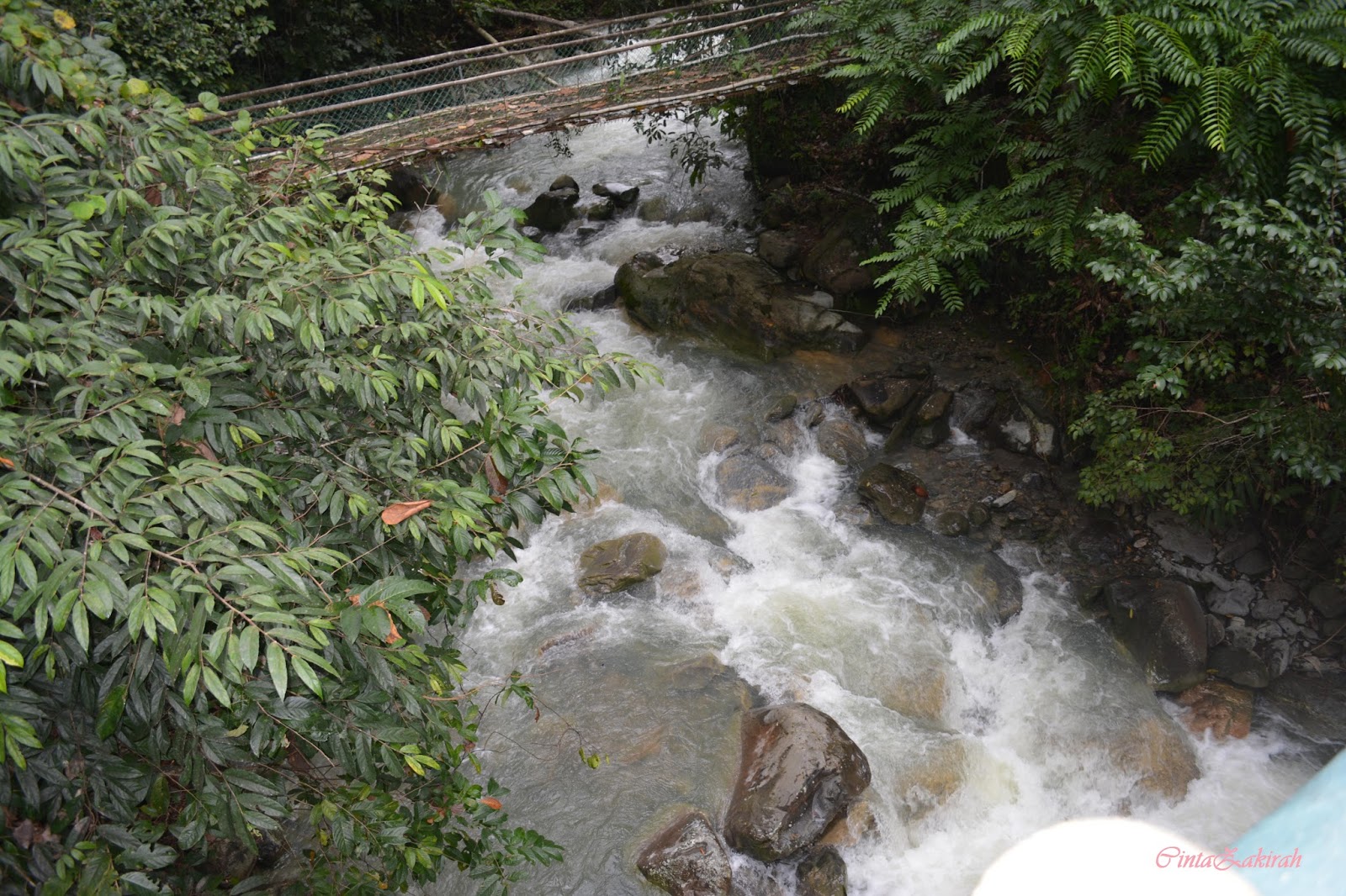Dari Papan Kekunci Aku: Sabah: Poring Hot Spring, Ranau